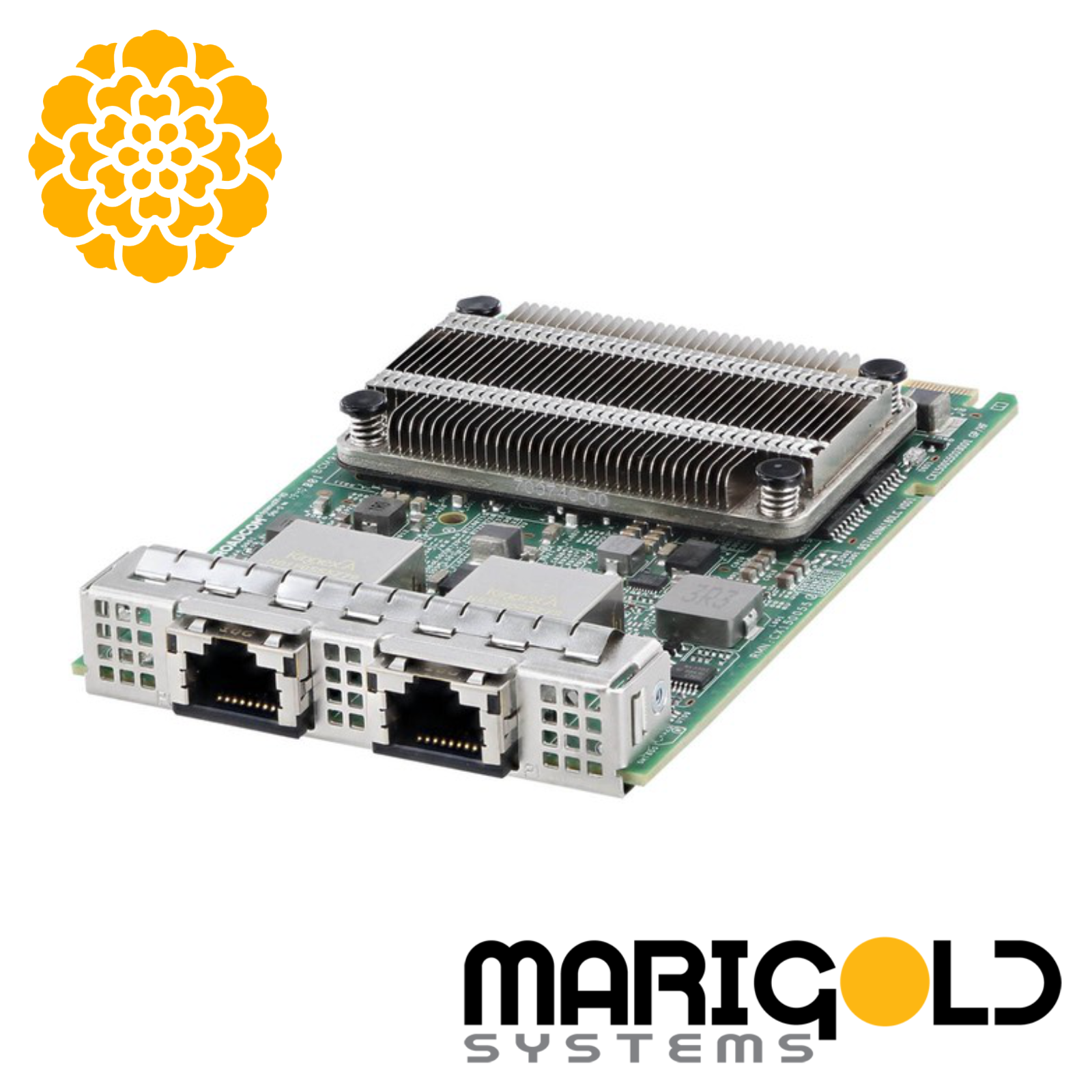 Dell Broadcom 57416 Dual Port 10GbE RJ45 OCP 3.0 v2 RN1M5 0RN1M5 ...